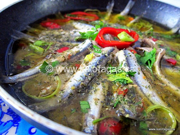 Gavros Saganaki (Γαύρος Σαγανάκι) | Kalofagas.ca