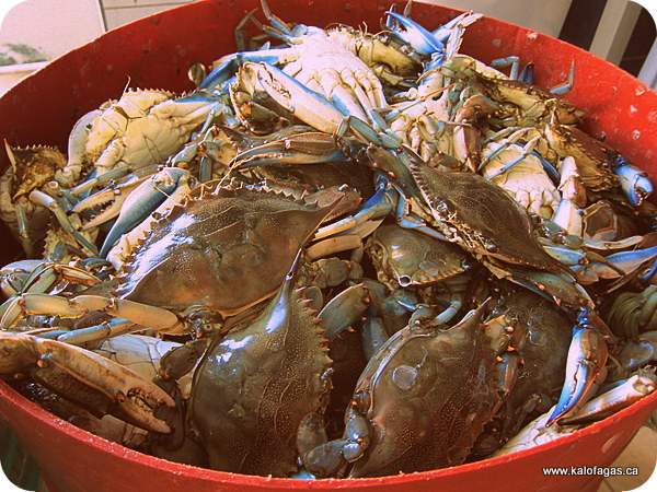 Crab Kritharotto | Kalofagas.ca