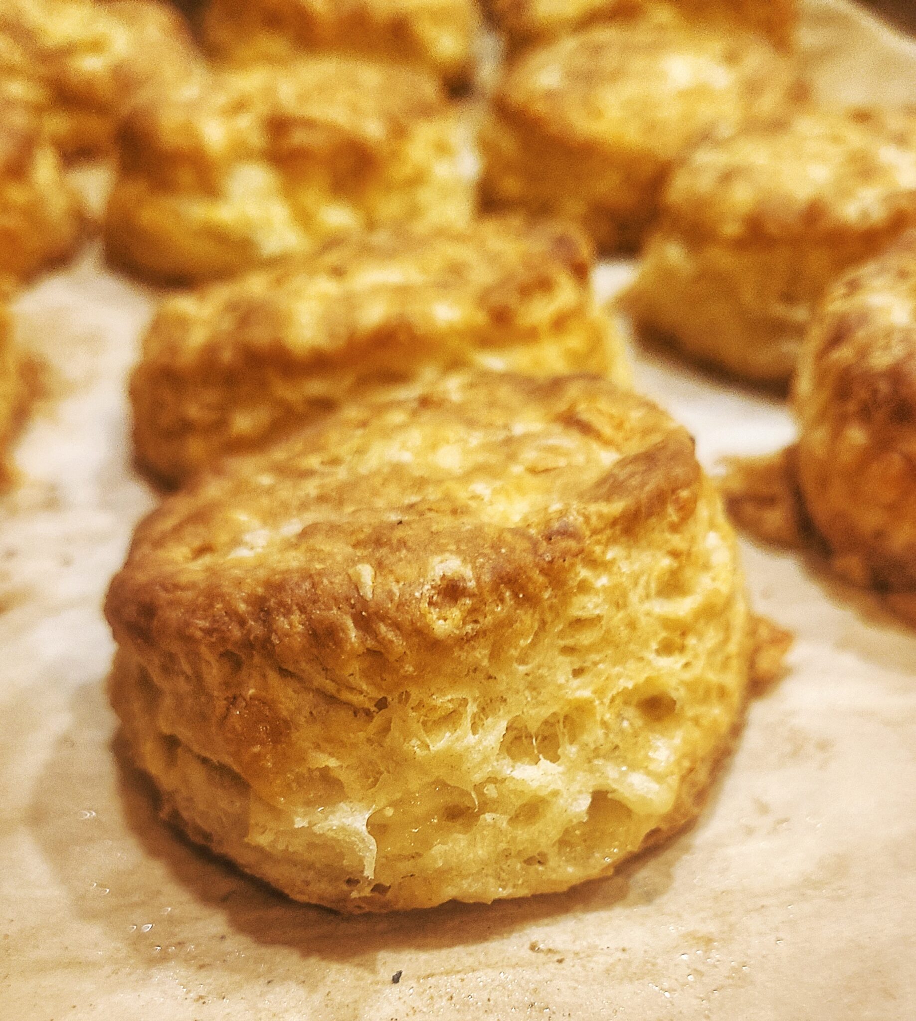 Homemade Biscuits | Kalofagas.ca