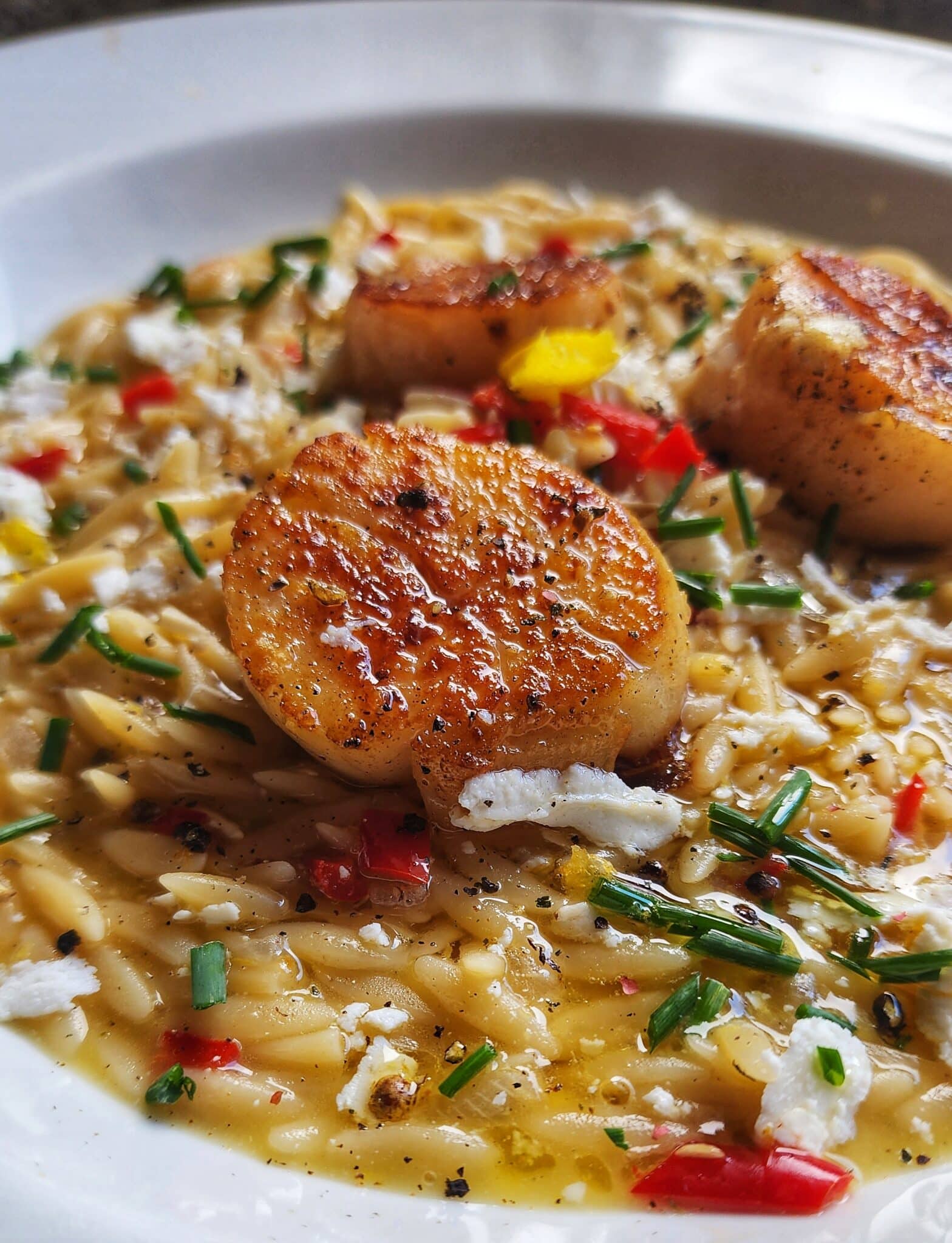 Seared Scallops With Lemon Kritharaki | Kalofagas.ca