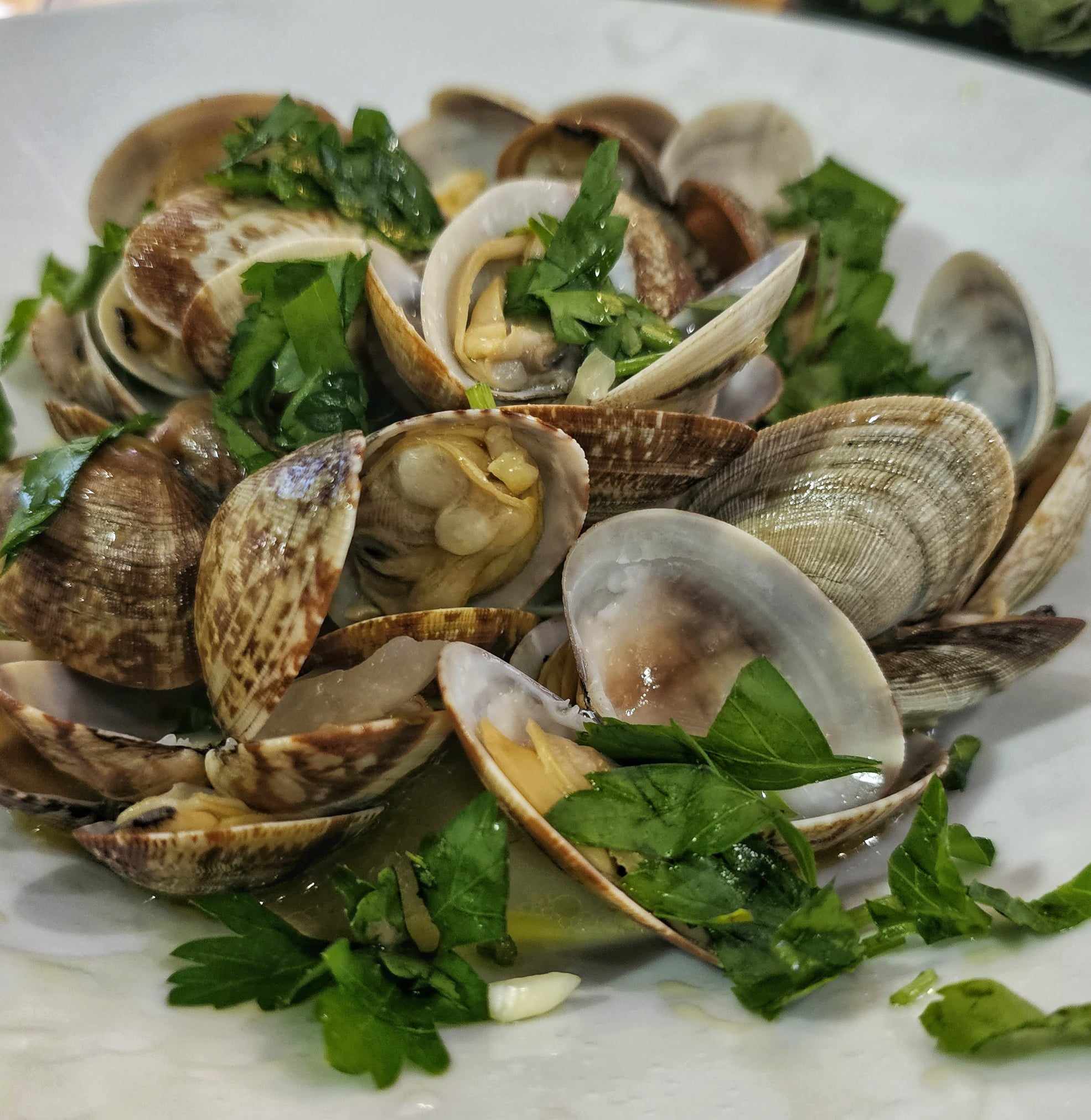 Steamed Clams With Garlic | Kalofagas.ca